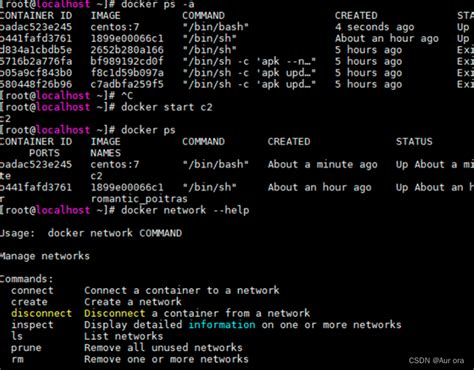 docker之网络配置 docker run使用主机网络 aur ora的博客 csdn博客