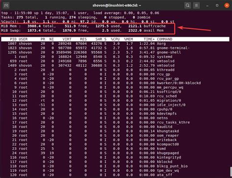 how to check linux memory usage linux hint