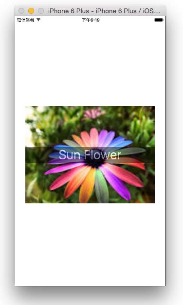 swift ios how to keep overlay label width same to actual image