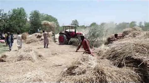 په کندز کې سږ کال د غنمو حاصلات د نورو کلونو په پرتله پنځه سلنه زیات