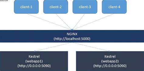 nginx reverse proxy to asp core in separate docker