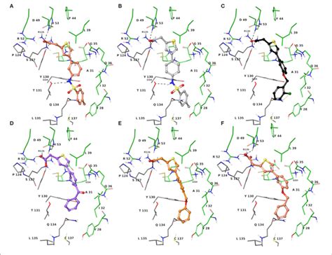 Three Dimensional Model Of The Interactions Given By 2a A 2b B