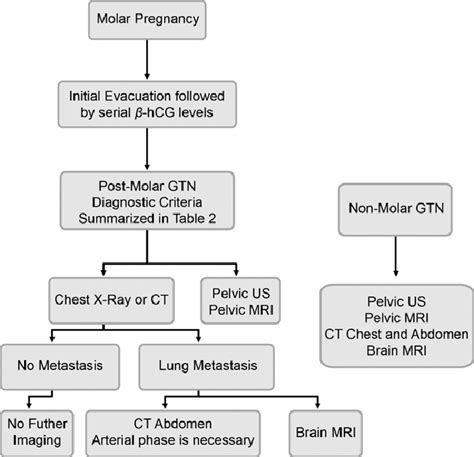 Algorithm For Imaging Staging Of Gtn Mri Mr Imaging Download