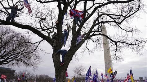 Man Photographed Carrying Confederate Flag Arrested