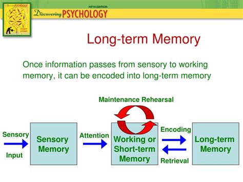 ppt chapter 6 memory powerpoint presentation free download id 5639891