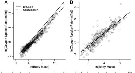 Figure 2 From Body Mass Scaling Of Passive Oxygen Diffusion In