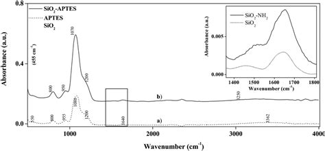 ftir spectra to a sio2 functionalized with aptes and b only aptes