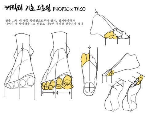 타코작가 Taco1704 Twitter 드로잉 강좌 해부학 강좌 강좌
