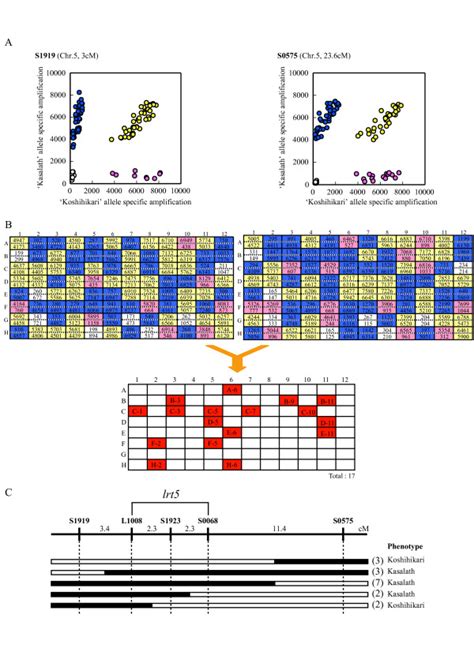 An Example Of Multi Sample Snp Genotyping To Demonstrate Multi Sample