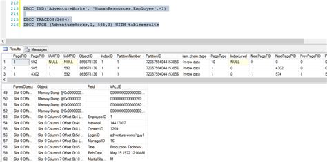 on the journey to be a sql server professional use the undocumented
