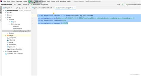 在springboot中出现error creating bean with name ‘datasource‘异常 com baomidou