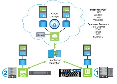netapp ontap