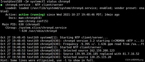 linux时间同步：chrony systemctl status chronyd csdn博客