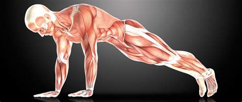 Strong Muscle Defining Push Up Workout With 5 Exercises