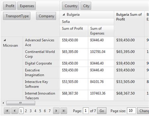 how to implement drill down functionality in telerik s pivot