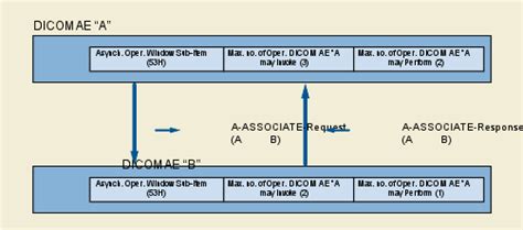 d 3 3 3 asynchronous operations and sub operations window negotiation