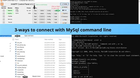 phpmyadmin command line xampp mysql mysql command line