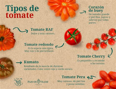 Conoce Los Diferentes Tipos De Tomates Y Sus Nombres Plaza De Abastos