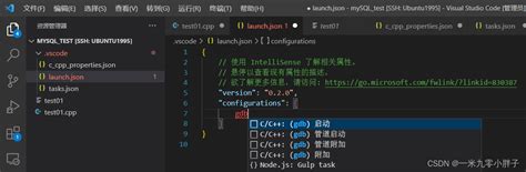 vscode环境配置文件生成 vscode导出配置文件 散修 小胖子的博客 csdn博客
