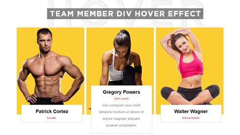 our team div hover effect in html and css with source code creative