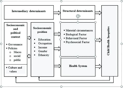A Conceptual Framework For Action On The Social Deter