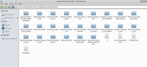 running django demos