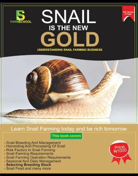 learn snail farming for n1000 only celebrities nigeria