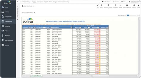 revenue and expense exception report example uses