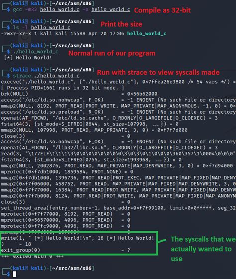 linux x86 assembly how to build a hello world program in nasm