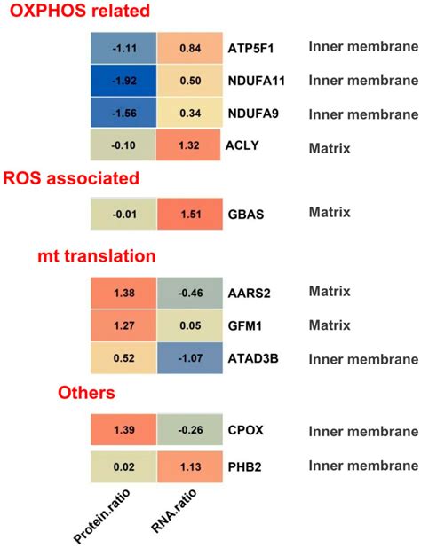 Dia Ms Based Proteomics Combined With Rna Seq Data To Unveil The