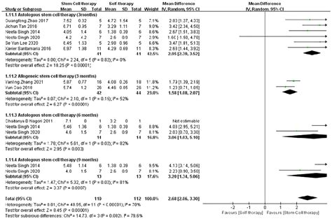 Frontiers Clinical Evaluation Of Autologous And Allogeneic Stem Cell
