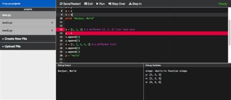 debugging with the raspberry pi webide