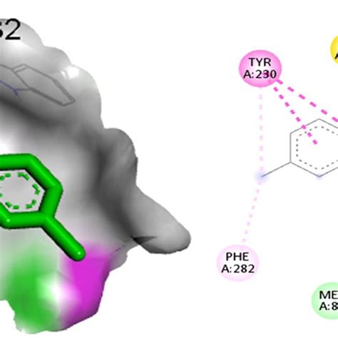 3d And 2d Binding Interactions Of Compound 4i Are Presented On The Left