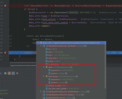 php yii2 the model return an expression object in the field instead