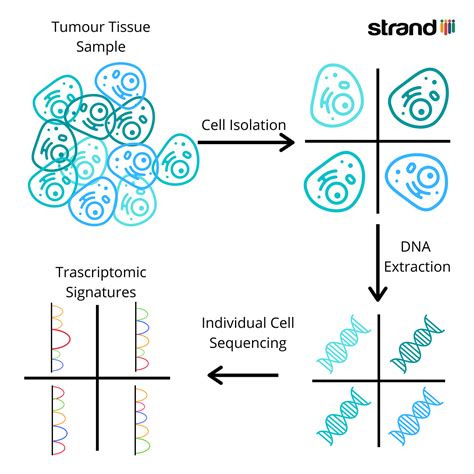 Single Cell Transcriptomics An Introduction To Single Cell Analysis