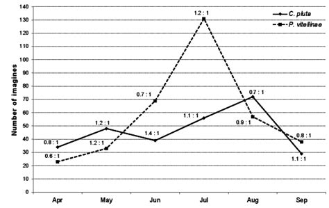 Number Of Adults Of C Pluta And P Vitellinae Throughout The Seasons