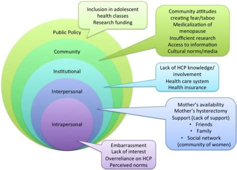 Examining Factors That Influence A Womans Search For Information About