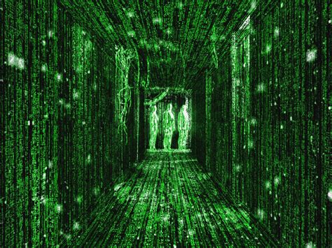 the matrix code came from sushi recipes—but which wired
