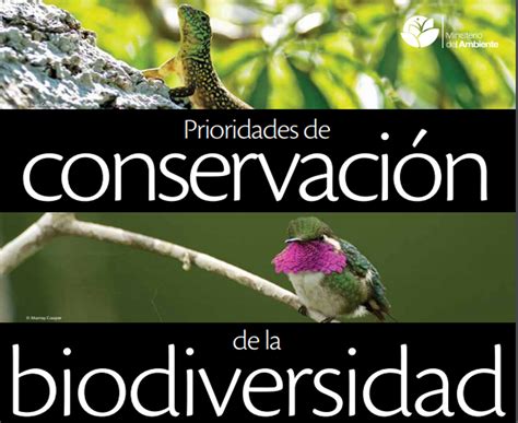 Biodiversidad Y Conservacion