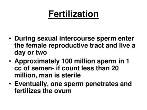 The Reproductive System Ppt Download