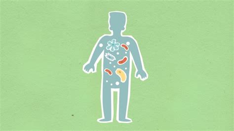 Understanding The Microbiome Quadram Institute