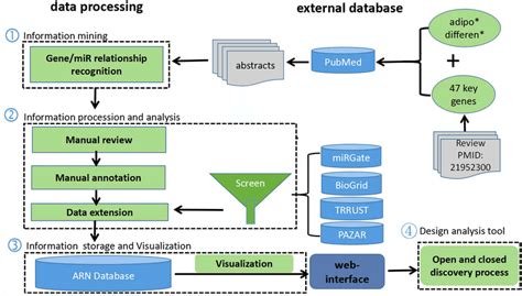 database construction pipeline this process is only used to build the