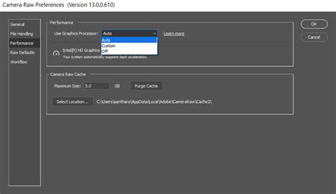 adobe camera raw graphics processor gpu faq and troubleshooting