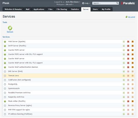 manage the active services on my server with plesk combell support