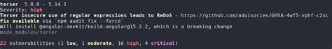 npm audit angular project has 2 high severity vulnerabilities stack