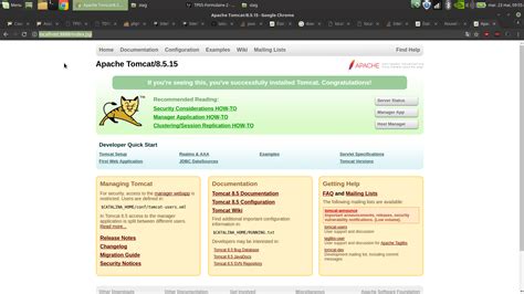jakarta ee intellij ultimate cannot open open tomcat web application
