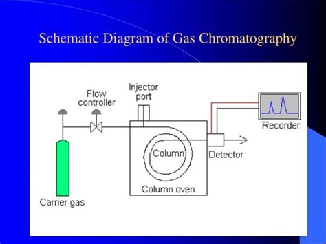 Gas Chromatography Diagram Explained