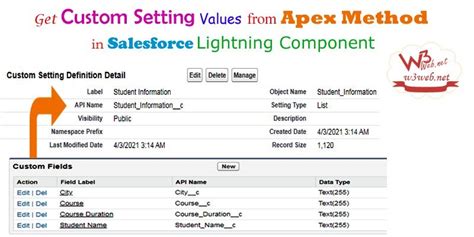 difference between custom settings and custom metadata types in