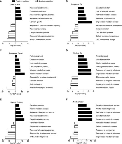 Functional Categories Of Differentially Expressed Proteins Identified