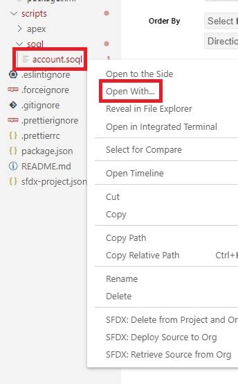 how to execute salesforce soql in vs code infallibletechie